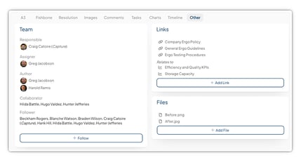 A3 Software | KaiNexus